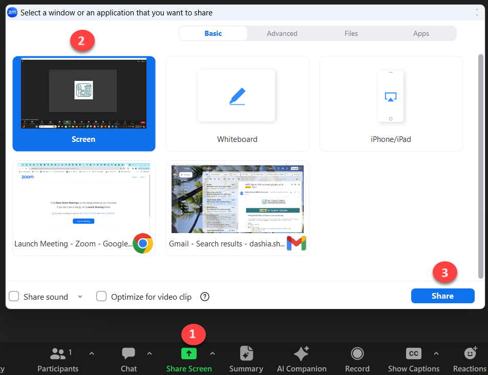 Screen Sharing: Zoom & Google Meet – HMIS@NCCEH ZenGuide