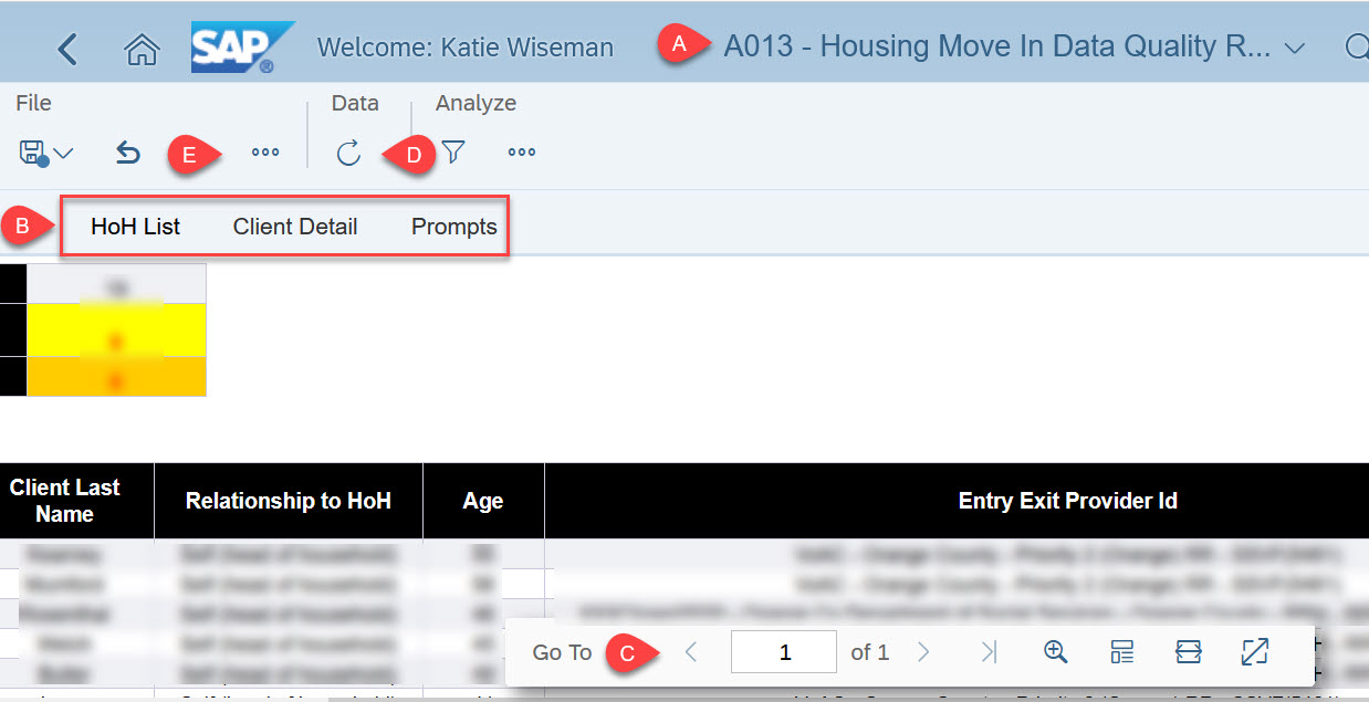 How to View BusinessObjects Reports – HMIS@NCCEH ZenGuide